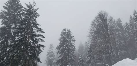 Про разметку Эллиота