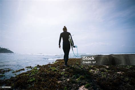 이끼 낀 산호초 해변에 산책 하는 서핑 보드와 함께 여자 서퍼 건강한 생활방식에 대한 스톡 사진 및 기타 이미지 건강한 생활방식 걷기 결심 Istock