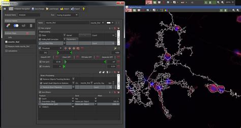 9 Questions With Answers In Nis Elements Science Topic