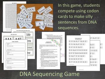 DNA Structure Unit DNA And RNA Protein Synthesis Lessons Labs Activities
