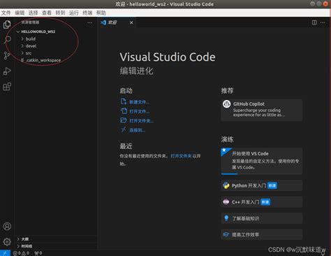 ros笔记day02 使用vscode开发andlaunch文件 vscode launch csdn博客
