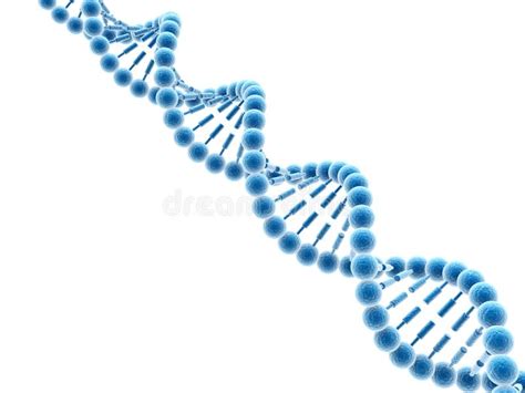 Concept Of Biochemistry With Dna Molecule Isolated In White Background 3d Rendering Stock