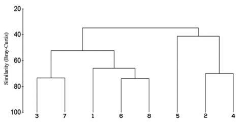 Dendrogram Of Bray Curtis Similarity Between The Points Sampled In The