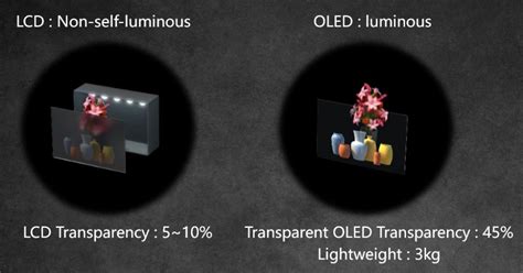Transparent OLED Y L Technology Ltd