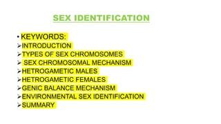 Sex Identification By Rohit Kumar Ppt Hnbgu Ppt