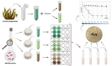 📢 Read Our Recent Publication In Specialissue Applied Sciences Mdpi
