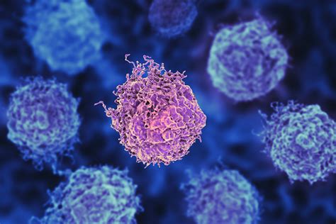 Vlookup Return Multiple Values In Single Cell Design Talk