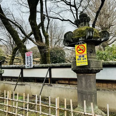 【上野東照宮】限定幸せさくら守りをいただきに＆2024年上野公園の桜開花状況も確認してきたよ【東京都台東区】 社これくしょん