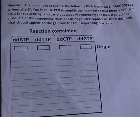 solved question 1 you want to sequence the following dna