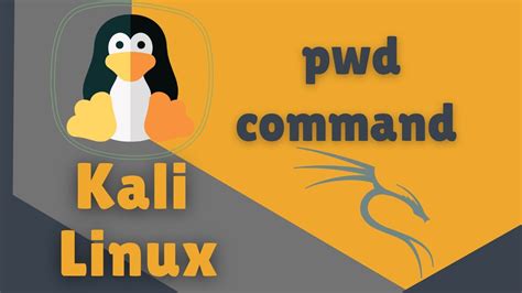 Pwd Command In Linux Kali And Ubuntu Youtube