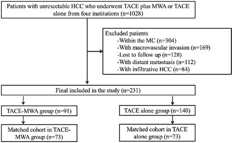 Figure 1 From Chemoembolization Plus Microwave Ablation Vs Chemoembolization Alone In