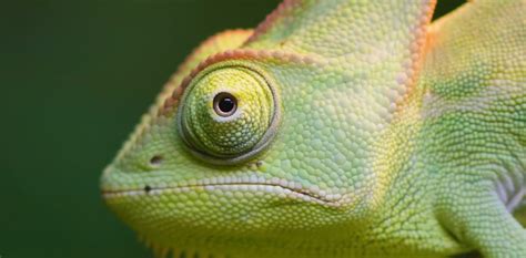 Adaptive Execution Energy Industries Abb