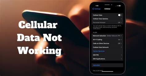 How To Fix The IPhone Cellular Data Not Working Issue IKream