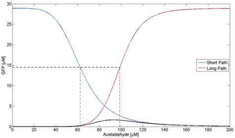 Team Eth Zurich Modeling Analytical Approximation