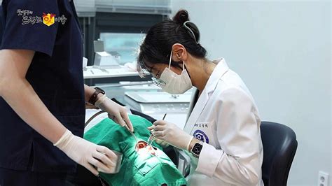 조영구의 트랜드 핫 이슈 연세온치과 네이버 Tv