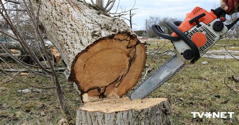 The Norm On Cutting Trees Of Smaller Diameter Is Recognized As Inconsistent With The