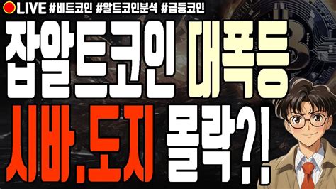 실시간 알트코인 대폭등 시바이누 도지코인의 몰락 리플 헤데라 테조스 11월19일 오전 라이브 비트코인 불장 Youtube