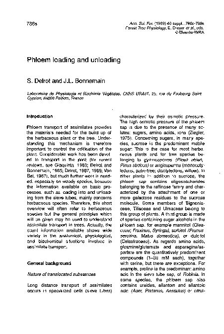 Pdf Phloem Loading And Unloading
