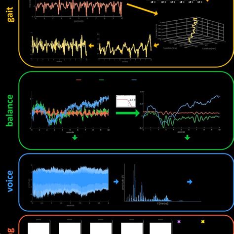 illustration of signal processing and feature extraction based on the
