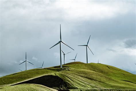 The Benefits Of Cppas Drax