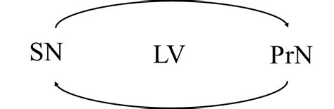 The Language Of Grammar Pattern Six A Classical Teachers Journal