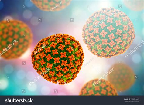 Hantavirus Virus Which Causes Hemorrhagic Fever Stock Illustration
