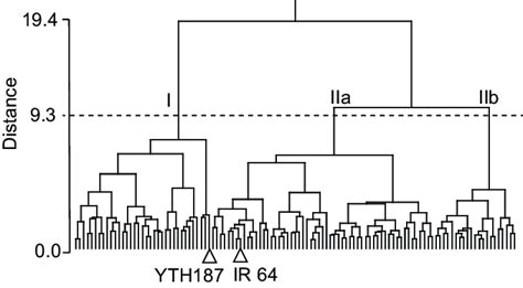 Classification Via Cluster Analysis Of Introgression Lines Based On The