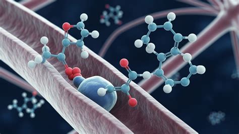 Prefrontal Cortex Exercises Boosting Your Cognitive Function