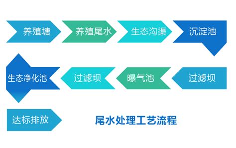 平湖农开区加快水产养殖尾水处理 深化改善美丽城镇水环境浙江在线