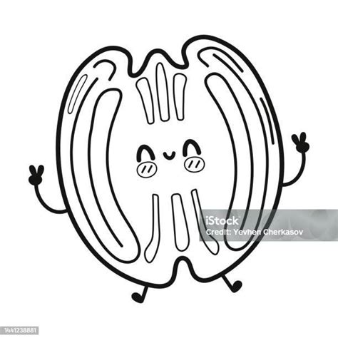 귀여운 재미있는 피칸 흔들리는 손 캐릭터 윤곽선 만화 일러스트 레이 션을 색칠 공부 책 벡터 손으로 그린 피칸 전통 만화 빈티지 복고풍 카와이 캐릭터 고립 된 흰색 배경 0