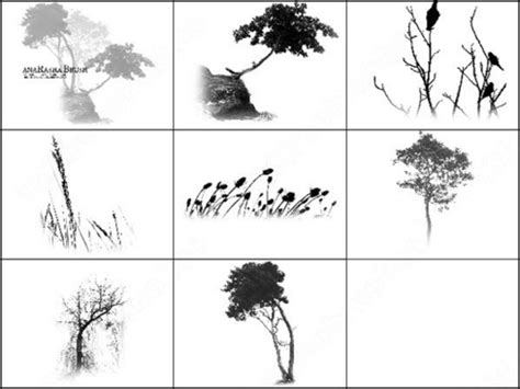 Free Tree Brush Pack Photoshop Kitchenfilo