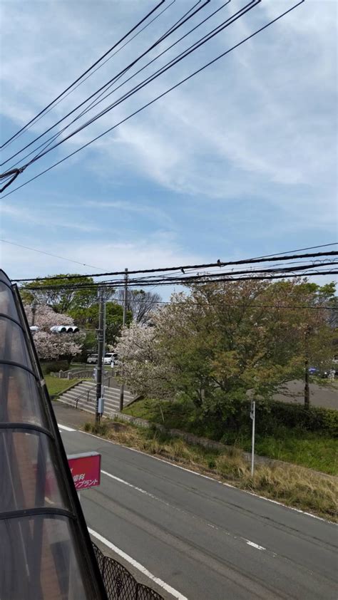 アクセス 医療法人社団 石田歯科医院 石田歯科医院