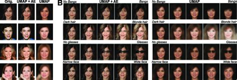 Reconstruction And Interpolation A Parametric Umap Reconstructions Download Scientific