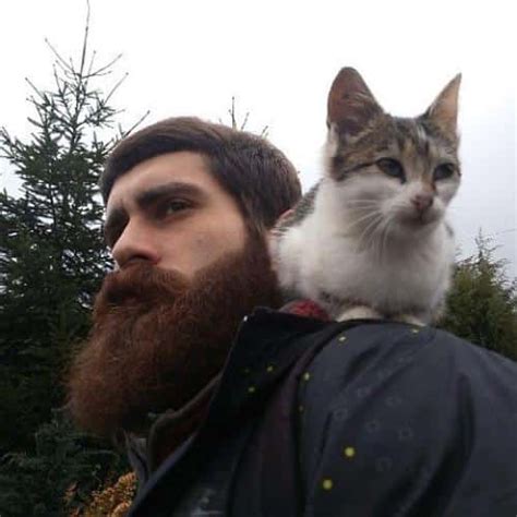 The 5 Easiest Programming Languages To Learn