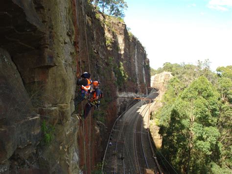 Tree Removal How Much Does It Cost T G Tree Services