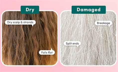 What Does Damaged Hair Look Like Telltale Signs And Fixes Asia One Uk