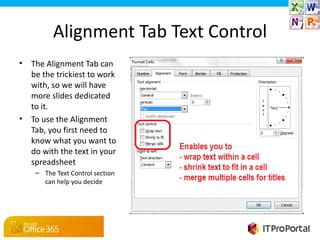 Excel Cell Format For Professional SpreadSheets PPT