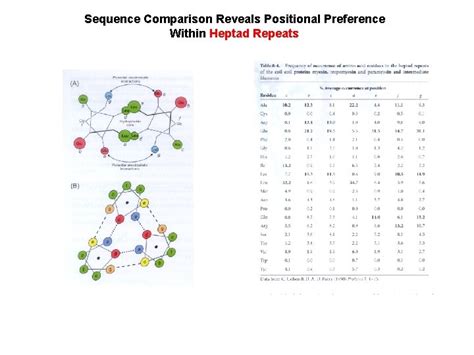 Protein Structure 2 Higher Order Protein Structures Hierarchy