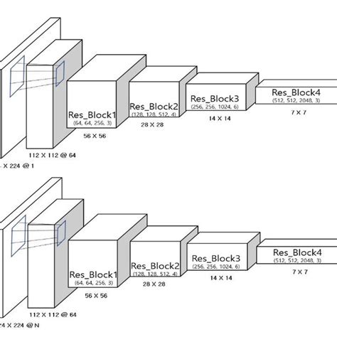 Dual Stream Network Structure Based On Resnet50 Download Scientific Diagram