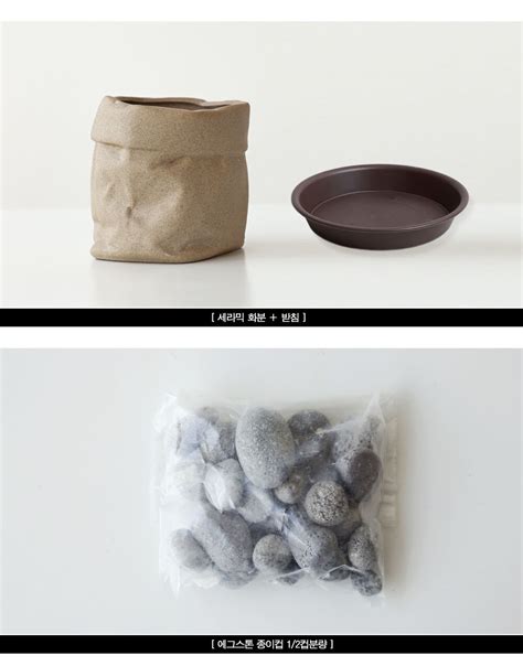 세라믹 크라프트 화분 식물 세트4types식물화분스톤받침 감도 깊은 취향 셀렉트샵 29cm