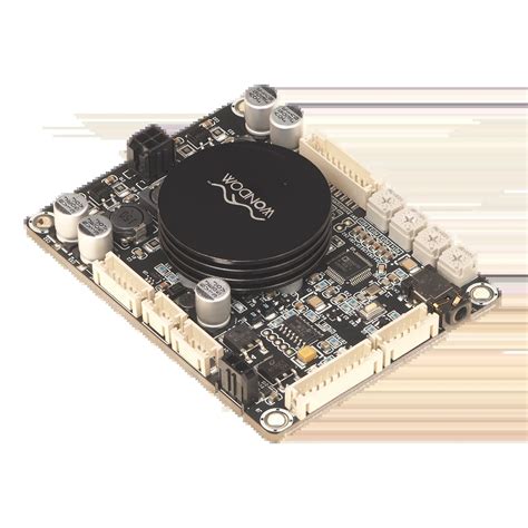 Dsp Based Class D Amplifier Kit