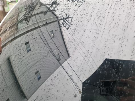 자동차 유막제거 발수코팅 시공 방법 비용 네이버 블로그