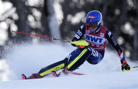 Slalom Skier
