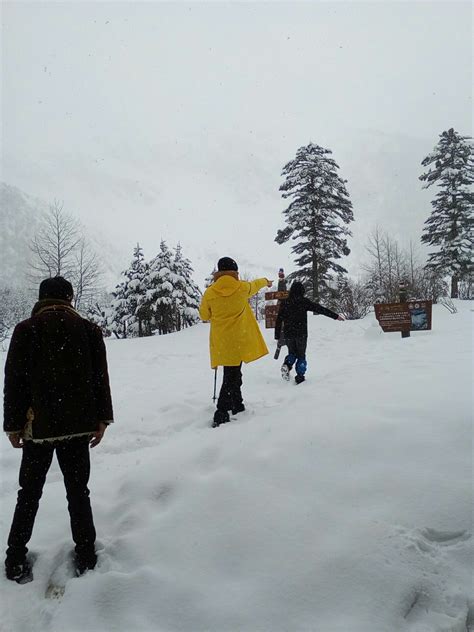 2023笑农大本营游玩攻略 遇的大雪整个区域一片银 去哪儿攻略