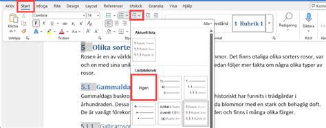 numrering av rubriker i word excelbrevet