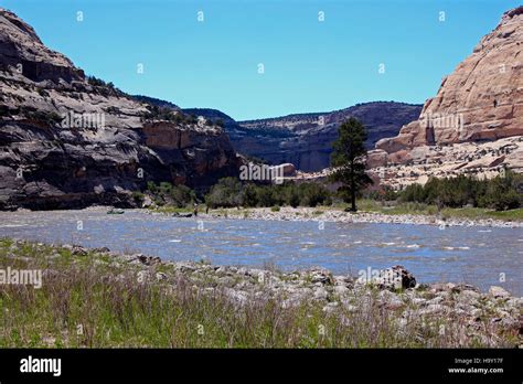 A Well Preserved Image Of A Dinosaur Fossil In Dinosaur National Monument Showcasing The Parks