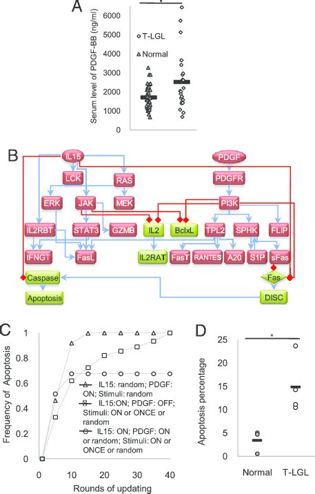 The Boolean Model Of The T Lgl Survival Signaling Network Predicts That Download Scientific