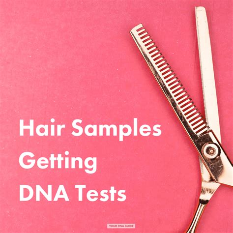 Hair Samples From Hms Bounty To Undergo Dna Testing Your Dna Guide Diahan Southard
