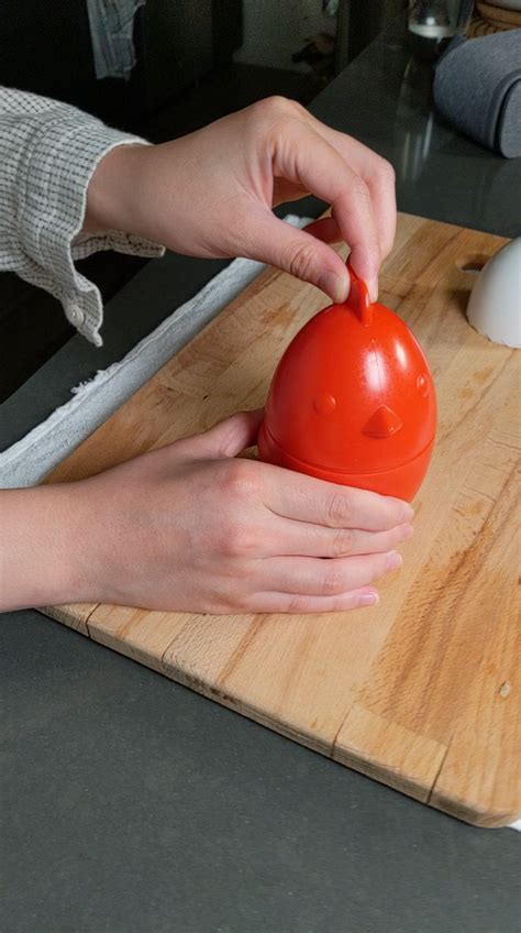 Chicken Chicken Semantic Segmentation Dataset By Rpzhou