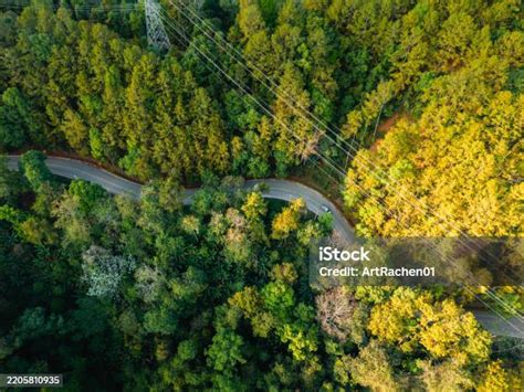 도로와 숲의 조감도 여름에는 자연림을 통과하는 길 관광 교통 자연 보호 및 여행 0명에 대한 스톡 사진 및 기타 이미지 0명 건설 산업 계절 Istock